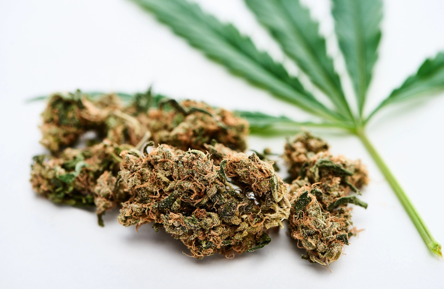 Four cannabis consumption areas approved by N.J. Cannabis Regulatory ...