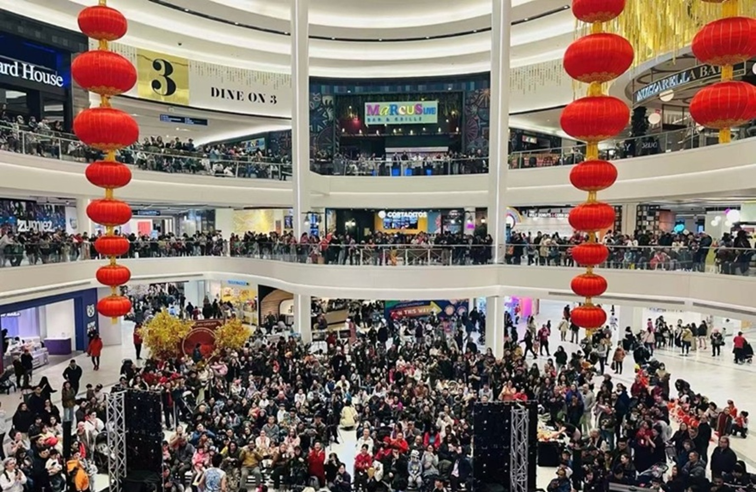 American Dream to gallop into the Year of the Horse - BINJE | New ...