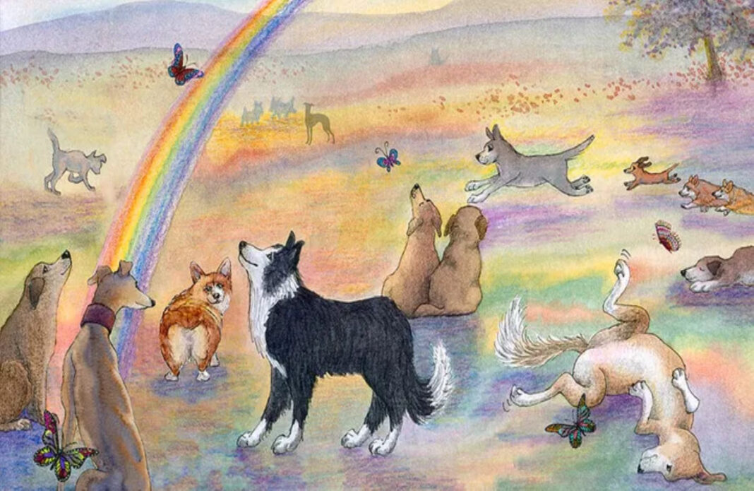 Rainbow Bridge: A New Memorial for Pets - BINJE | New Jersey Business News
